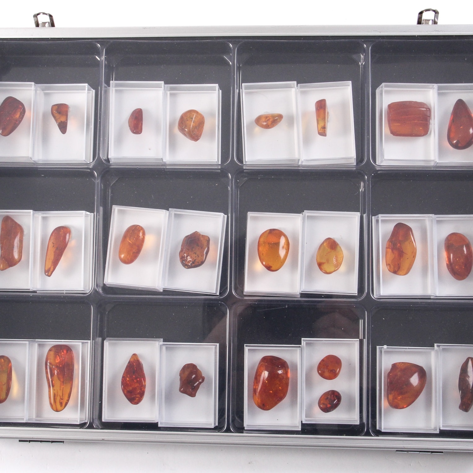 Collection of large amber pieces from House of amber with visible ...