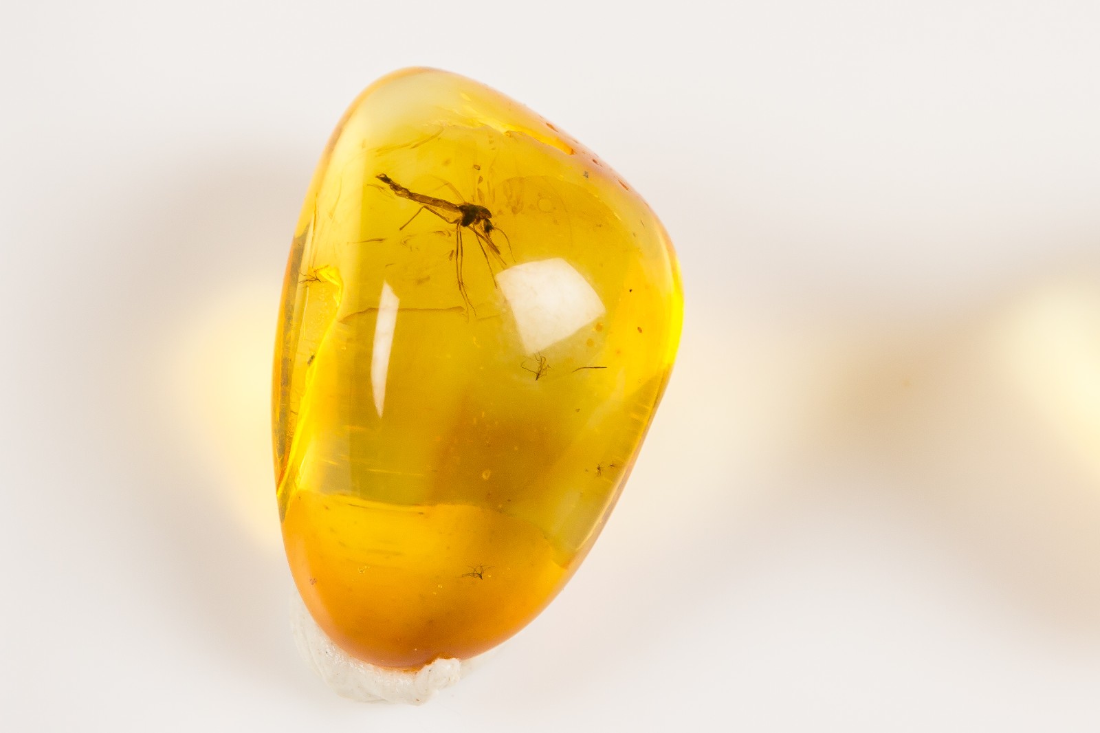 Fire stykker klart rav med meget synlige insekter (4) | Barnebys