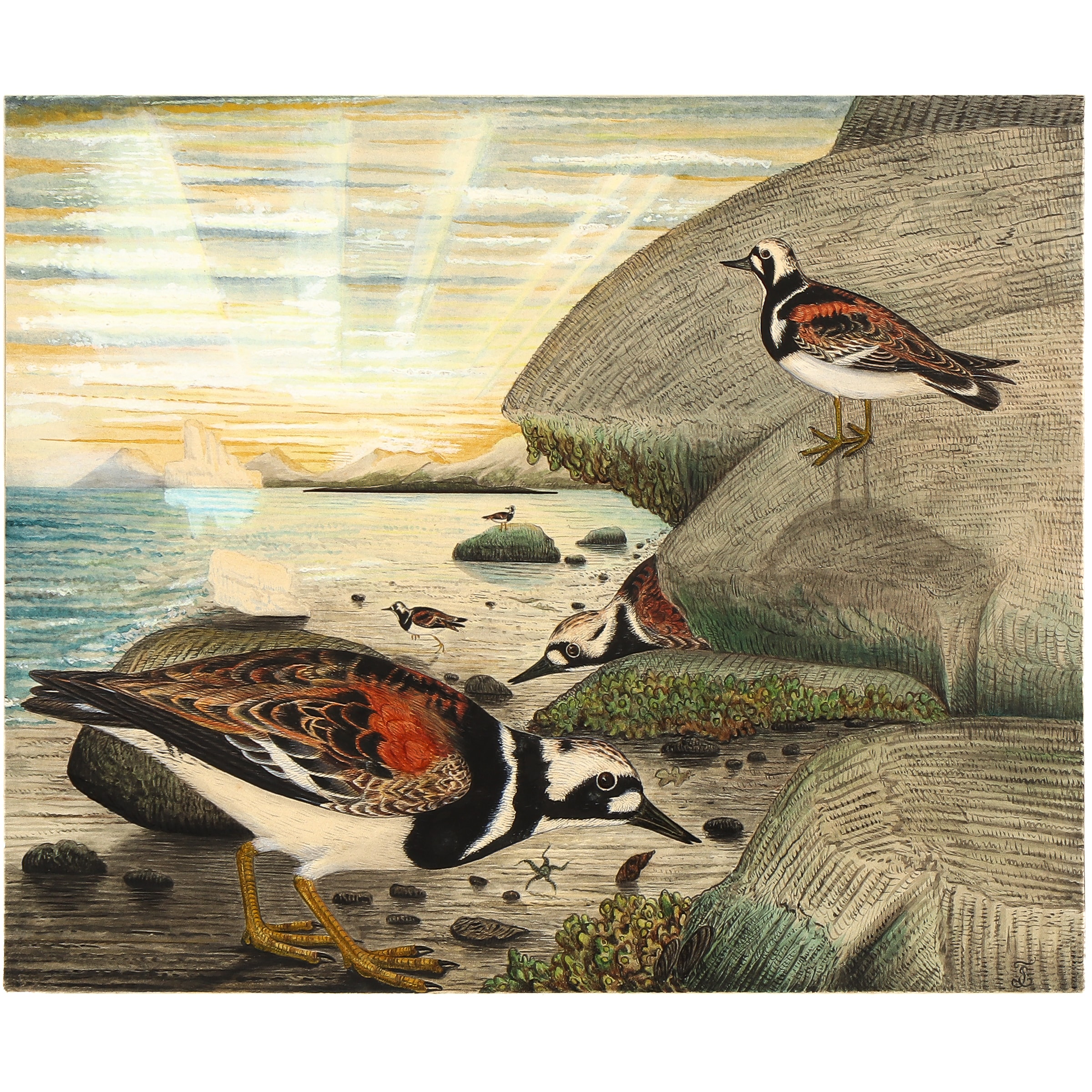 Edgar Christian Fencker. Motiv m/ Stenvender - vadefugle. | Lauritz.com