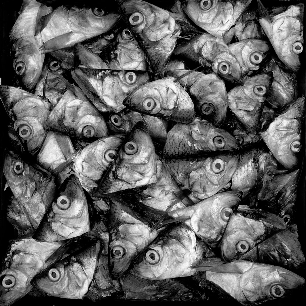 Nanna Bisp Büchert født 1937 | Lauritz.com